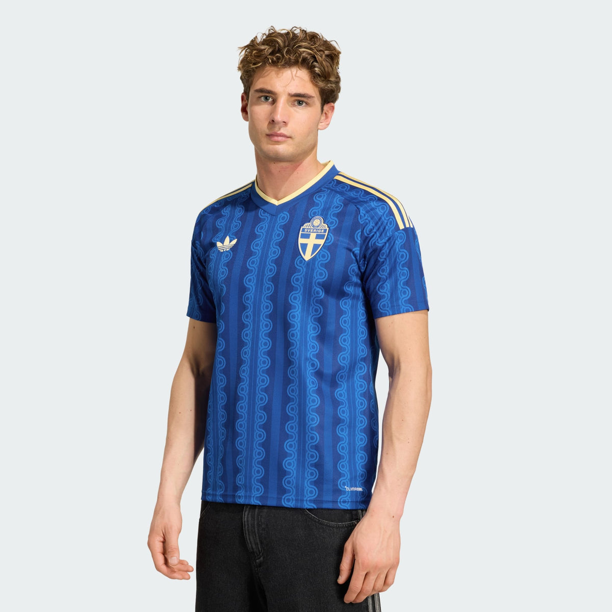 Sweden 26 Men's Away Jersey – Planète Foot